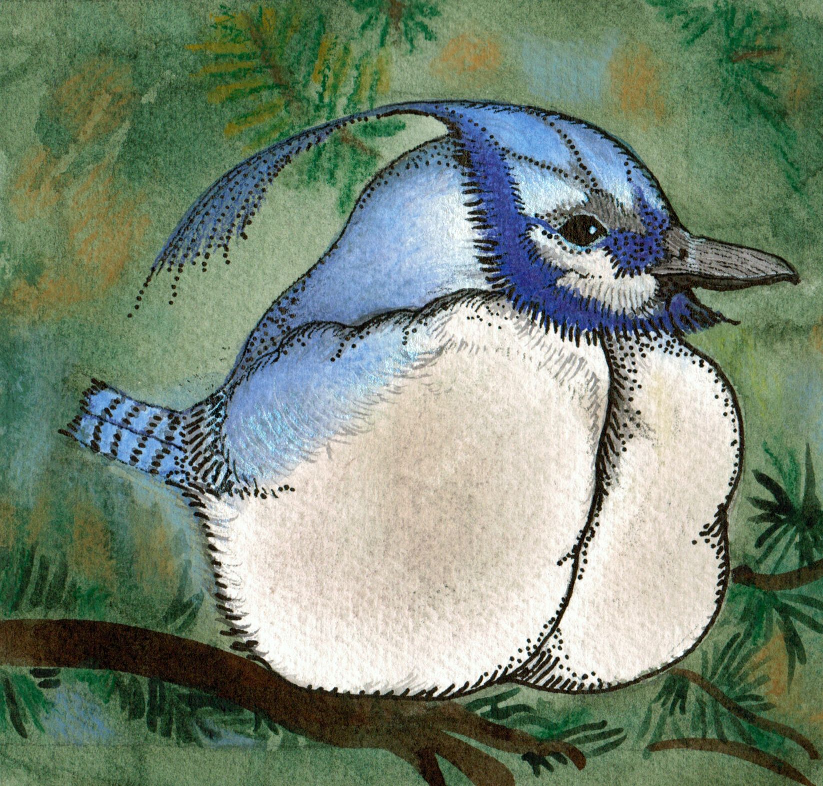 fat blue bird net – Judith Rauchfuss